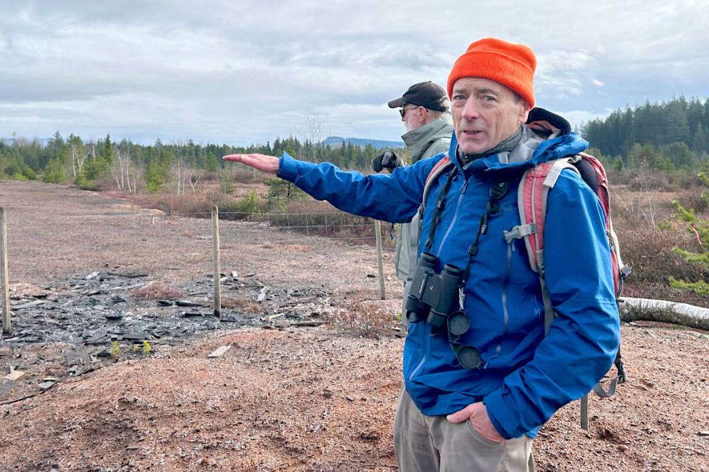 Unusual goose spotted at B.C. bird count | Rossland News
